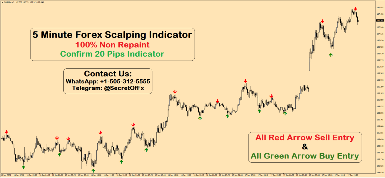5 Minute Forex Scalping Indicator