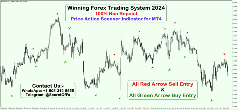Winning Forex Trading System 2024
