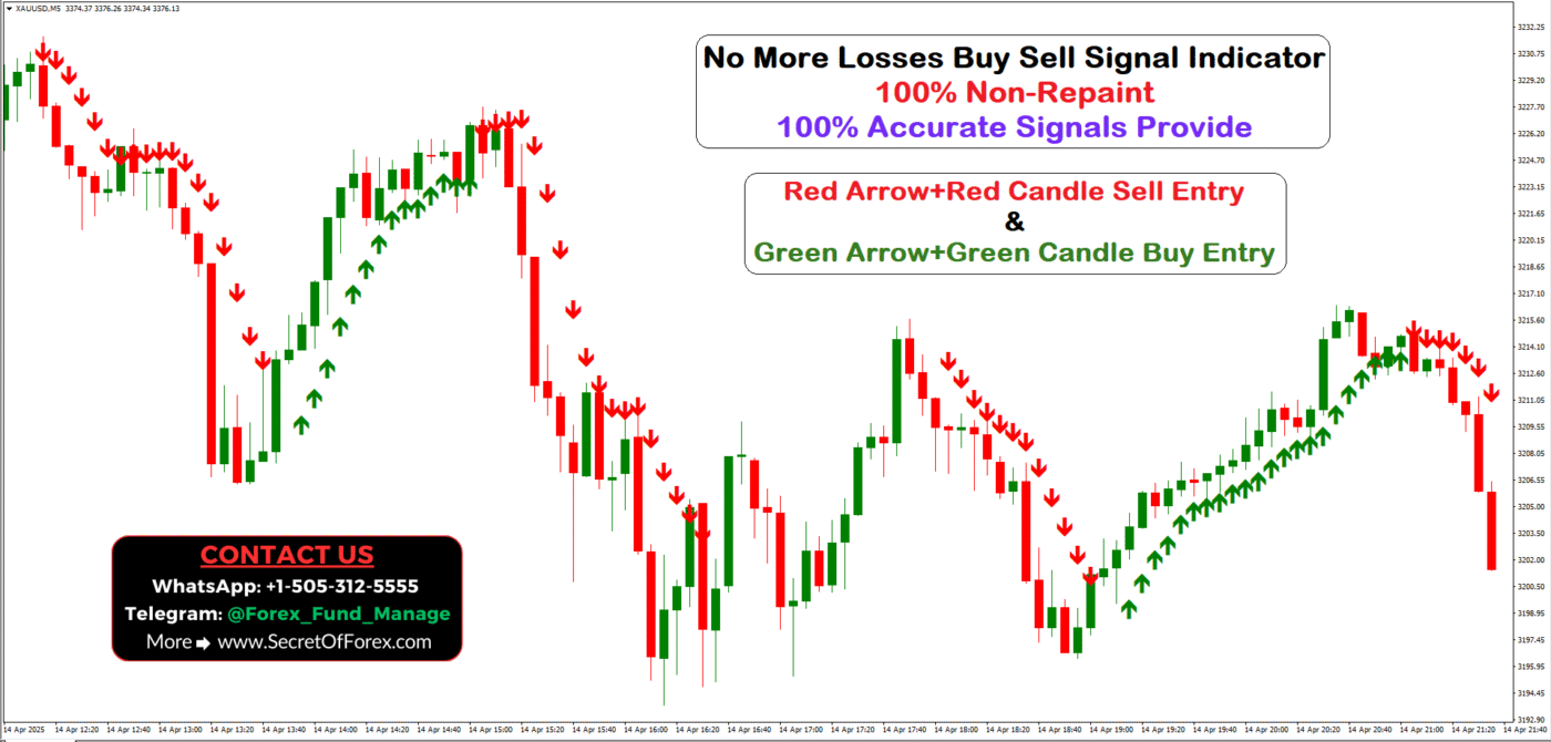 No More Losses Buy Sell Signal Indicator - Download Now