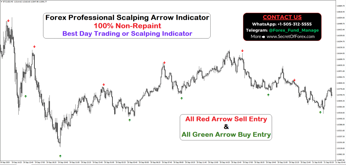Forex Professional Scalping Arrow Indicator